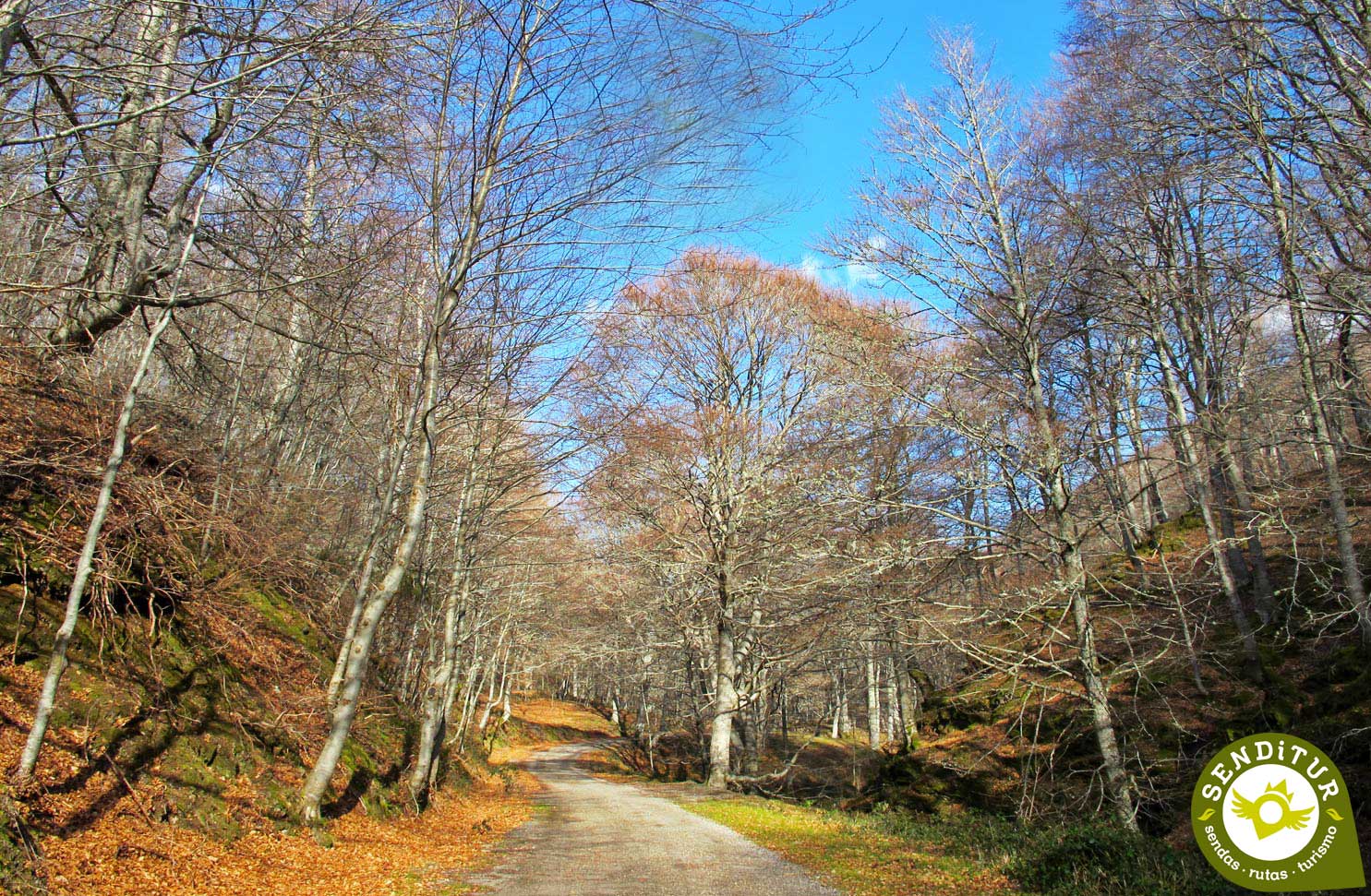 Route of The Rajao (Tobía, La Rioja) · SENDITUR.COM · paths · routes ...