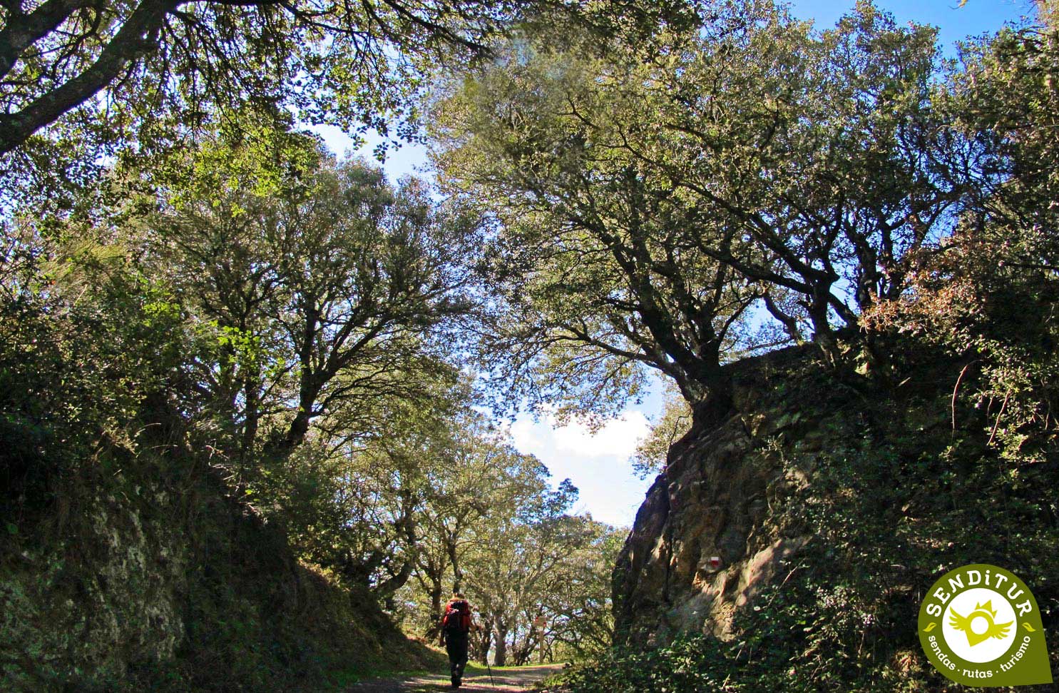 Senda Las Encinas (Anguiano, La Rioja) · Senditur sendas rutas y turismo