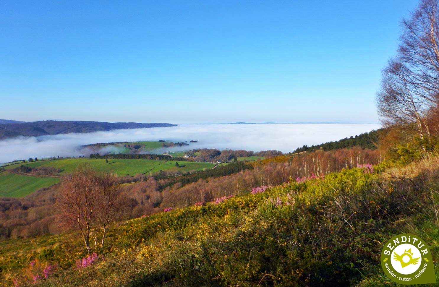 Etapa 24 Triacastela-Sarria por San Xil Camino Francés | Senditur.com ...